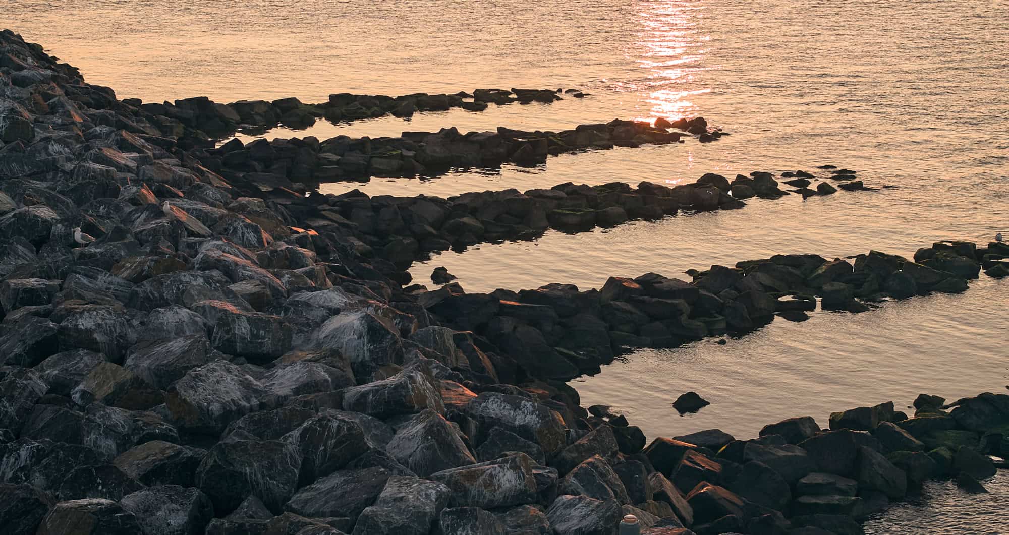 Living Breakwaters