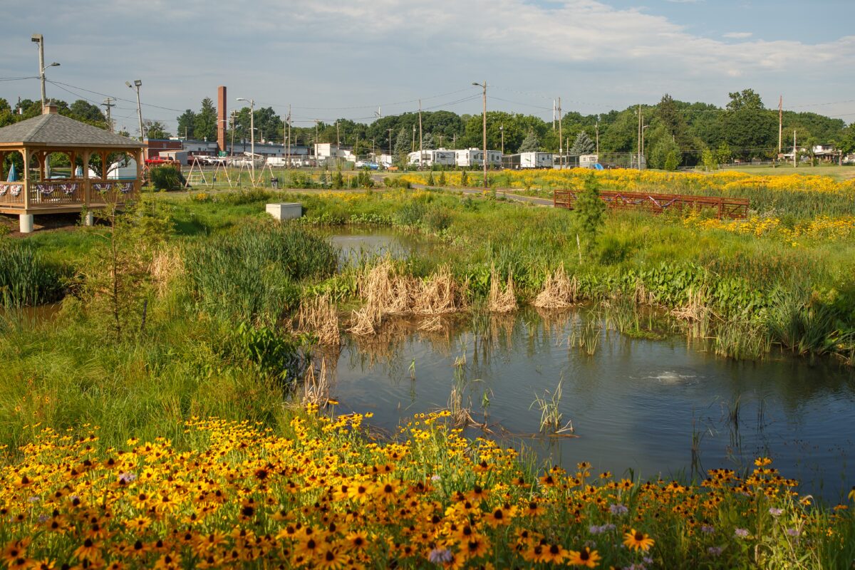 Stormwater and Green Infrastructure