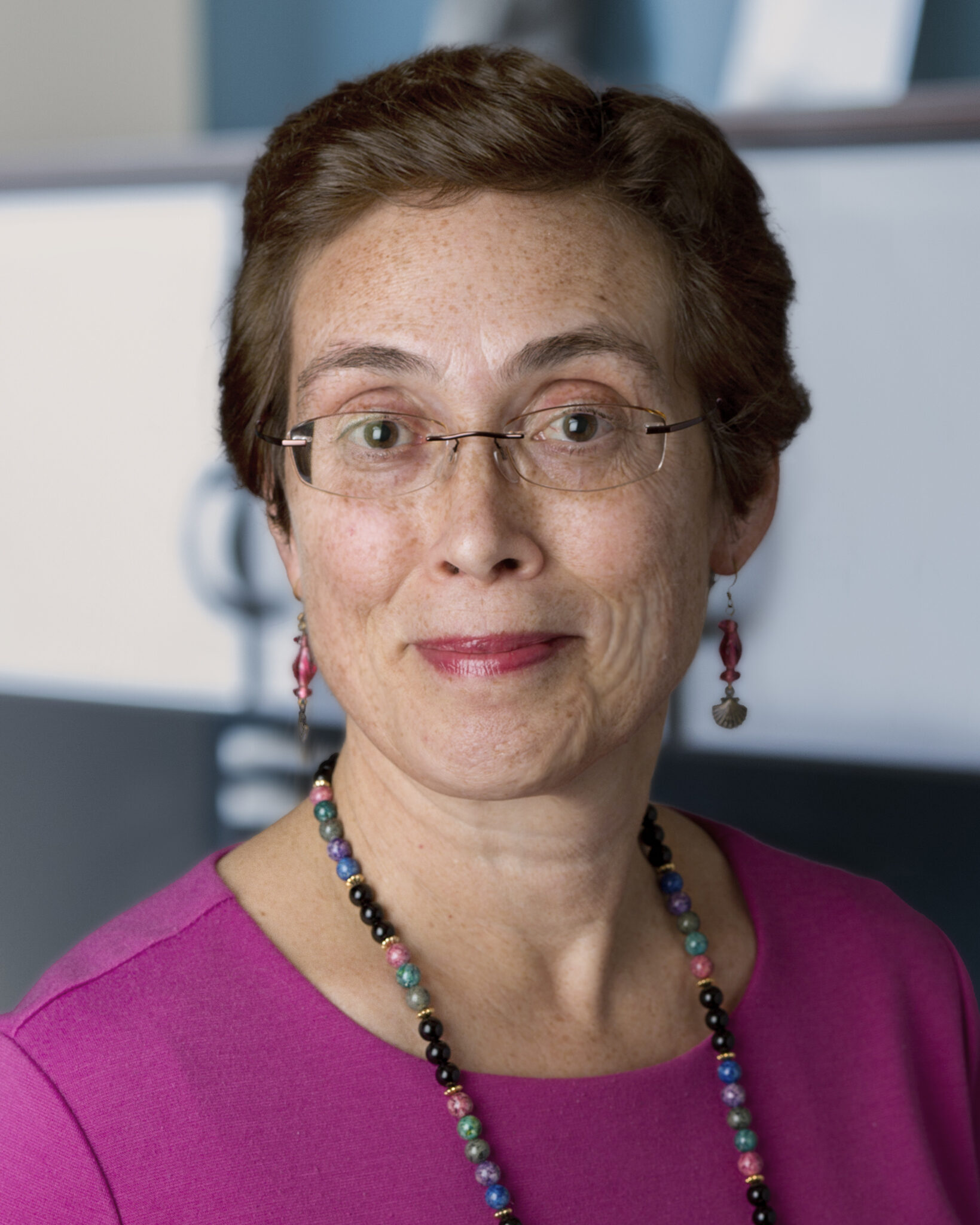 I-81 Viaduct Replacement - AKRF