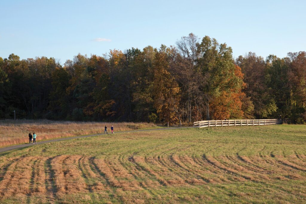 Mercer Meadows