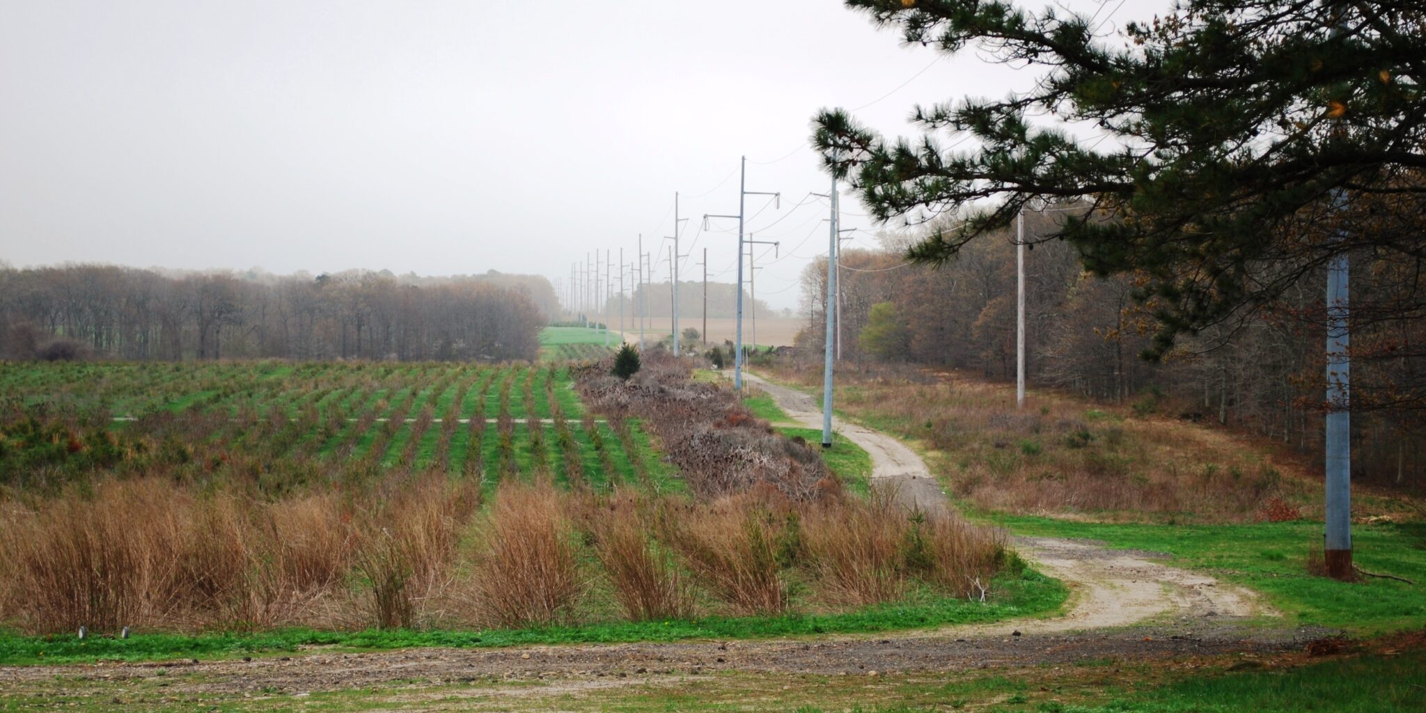 Wildwood to Riverhead Electric Transmission Line